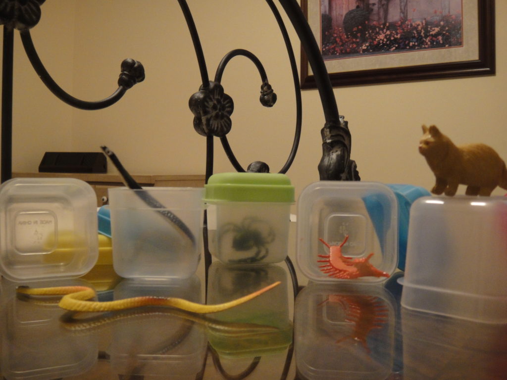 Little Plastic Animals (don’t eat much) - Activity Tailor