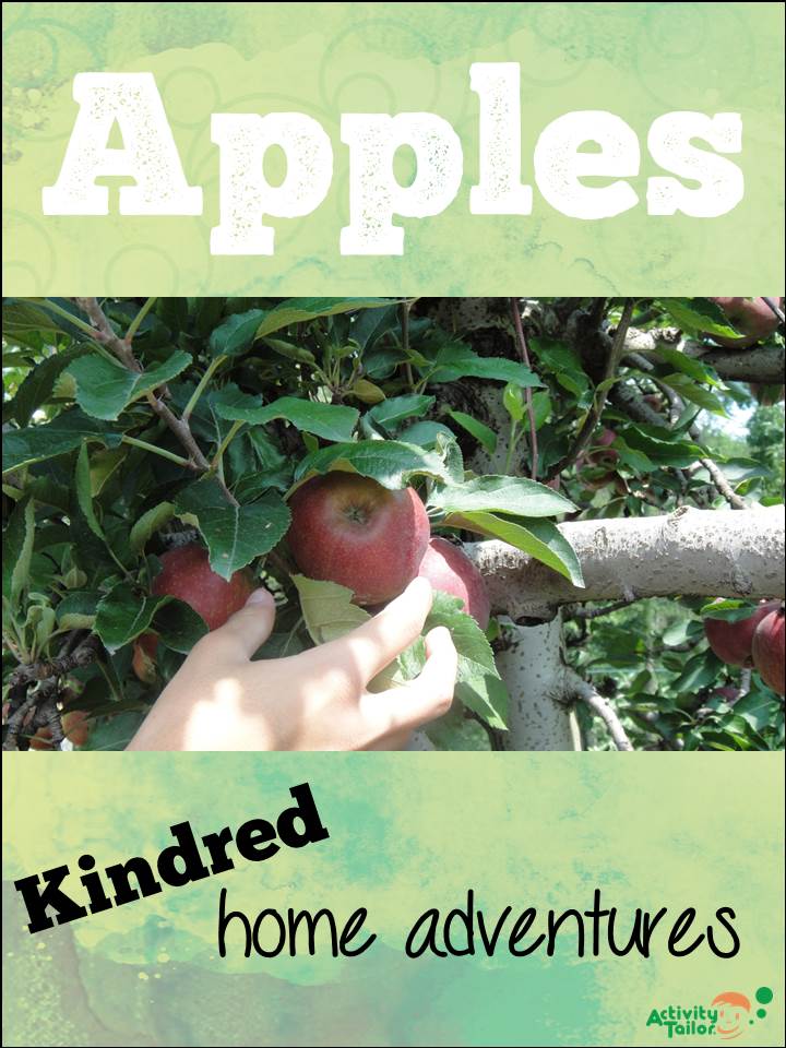 Apples for Home Adventures and a (simple) Craft - Activity Tailor