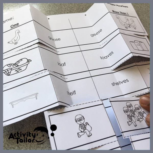 Irregular Plural Nouns - Activity Tailor