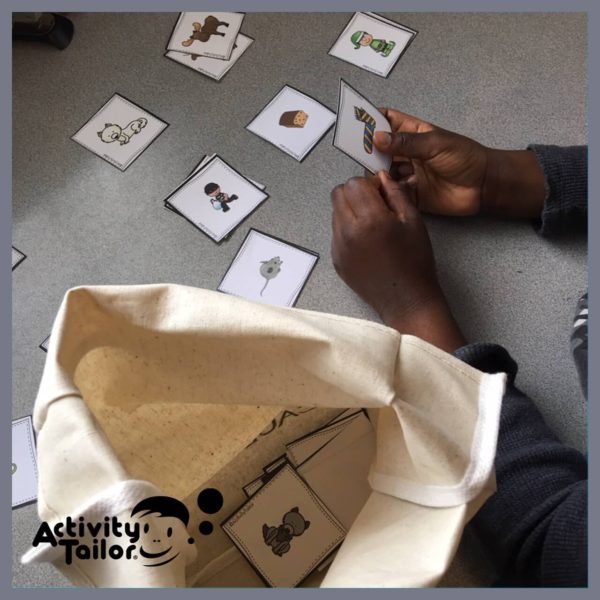 Irregular Plural Nouns - Activity Tailor